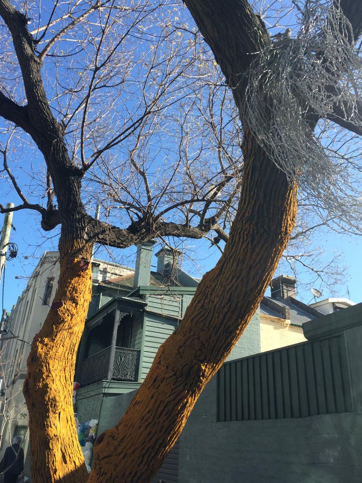 Beams Festival, Sydney ’14 – Tree Veneration Society