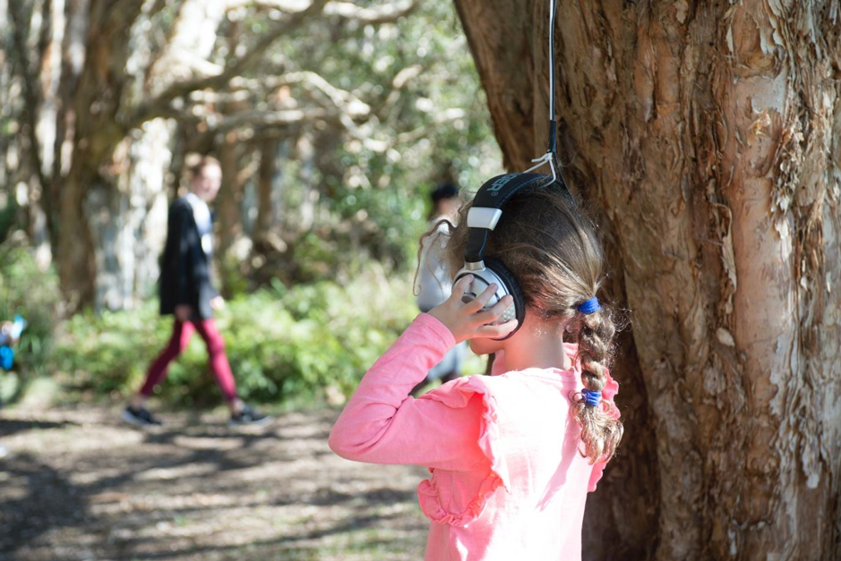 Listen to the Sounds of a Living Tree through Headphones