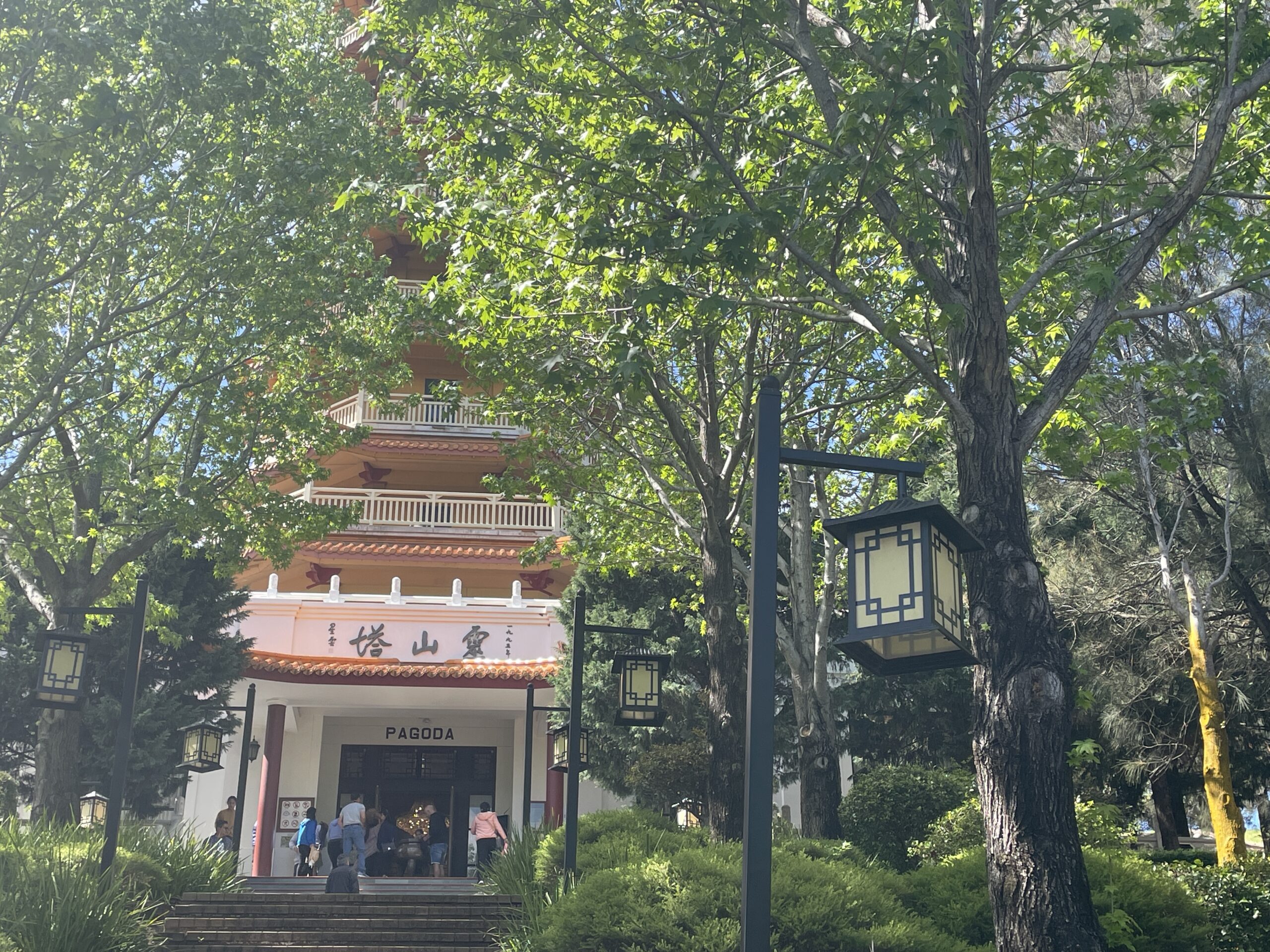 Temple Tree Day – Tree Veneration Society